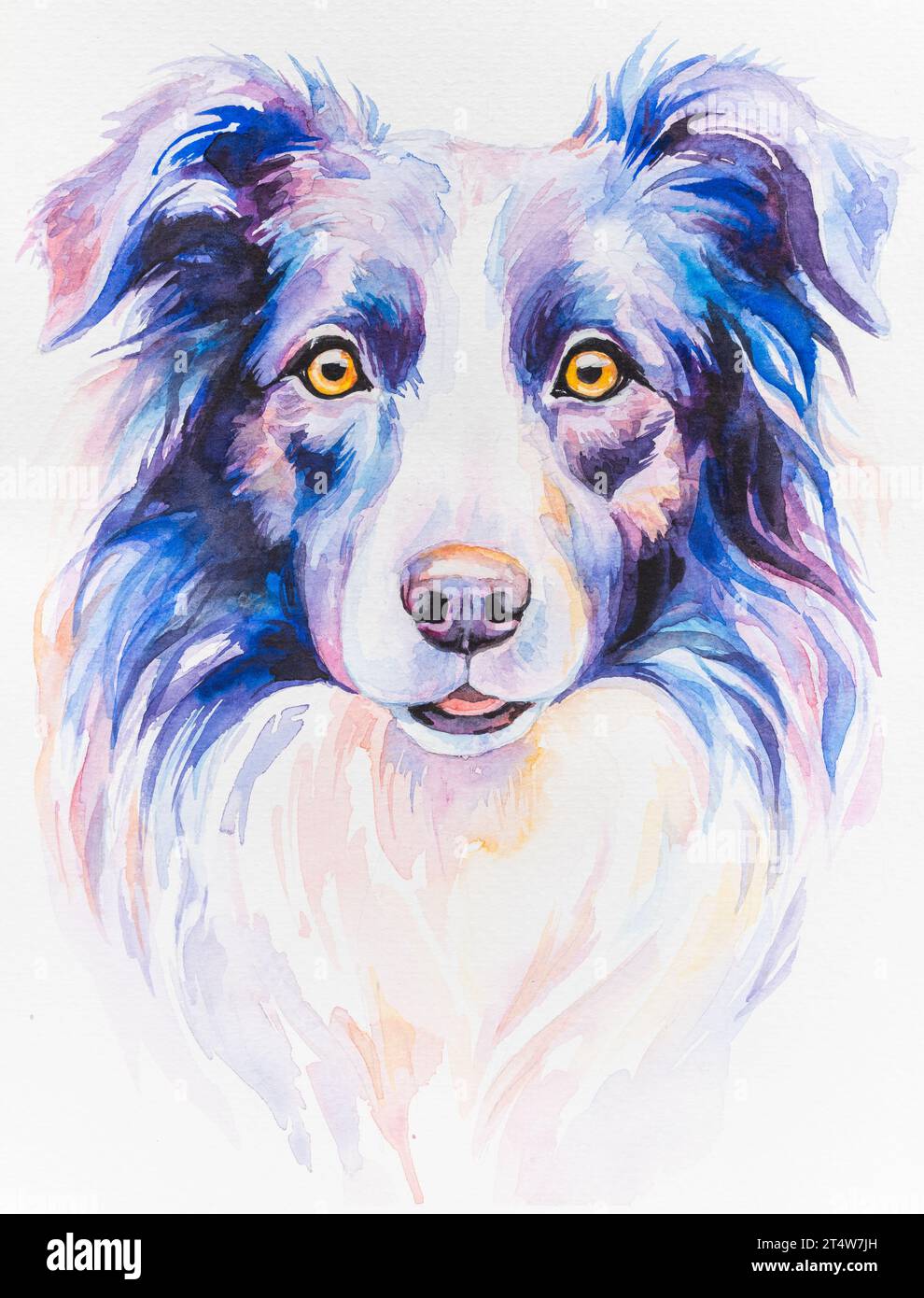 dog painted in watercolor on a white background Stock Photo - Alamy