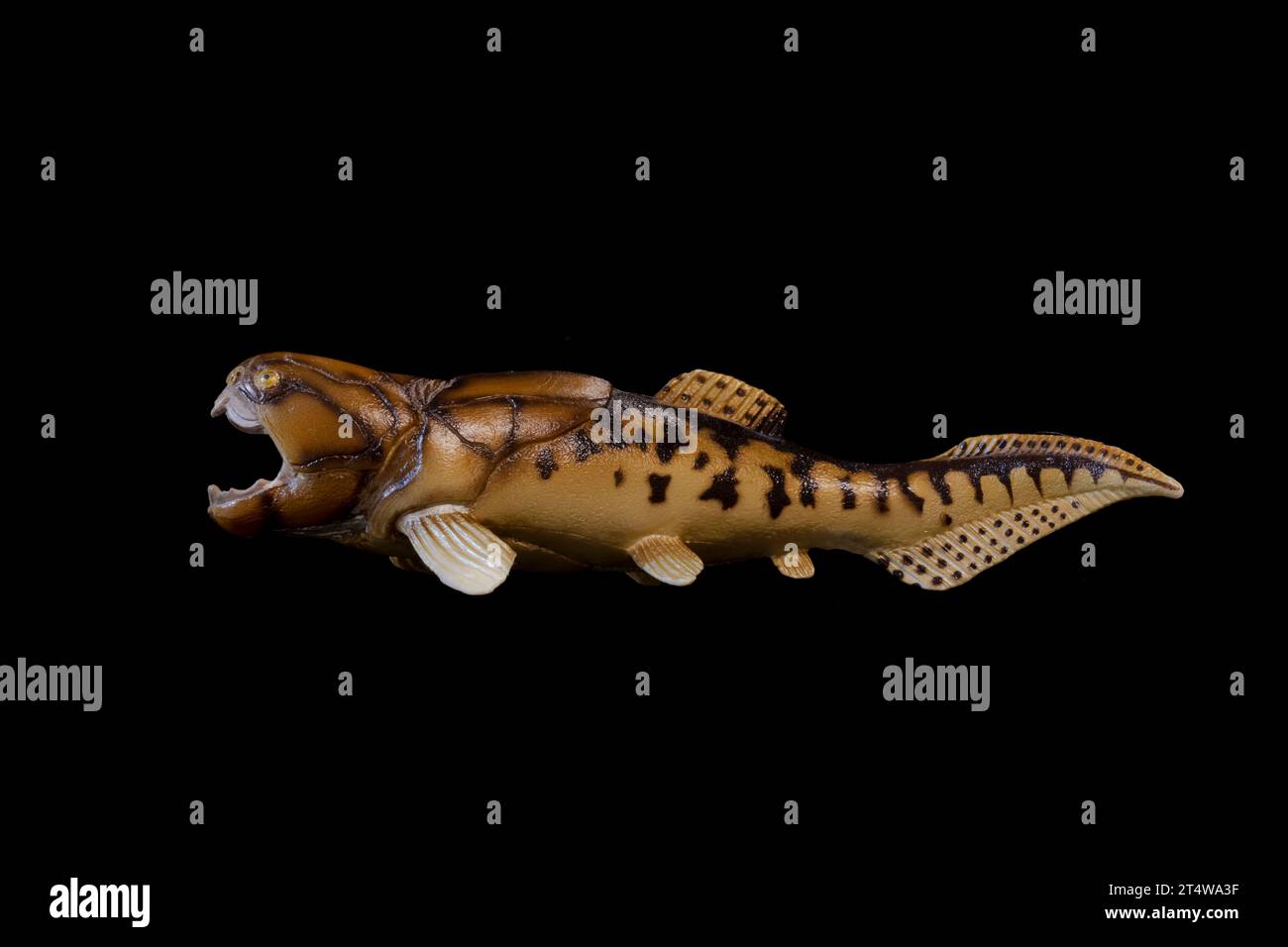 The Late Devonian monster Dunkleosteus (Safari, 2006) terrorized the ancient world's oceans 385 ...