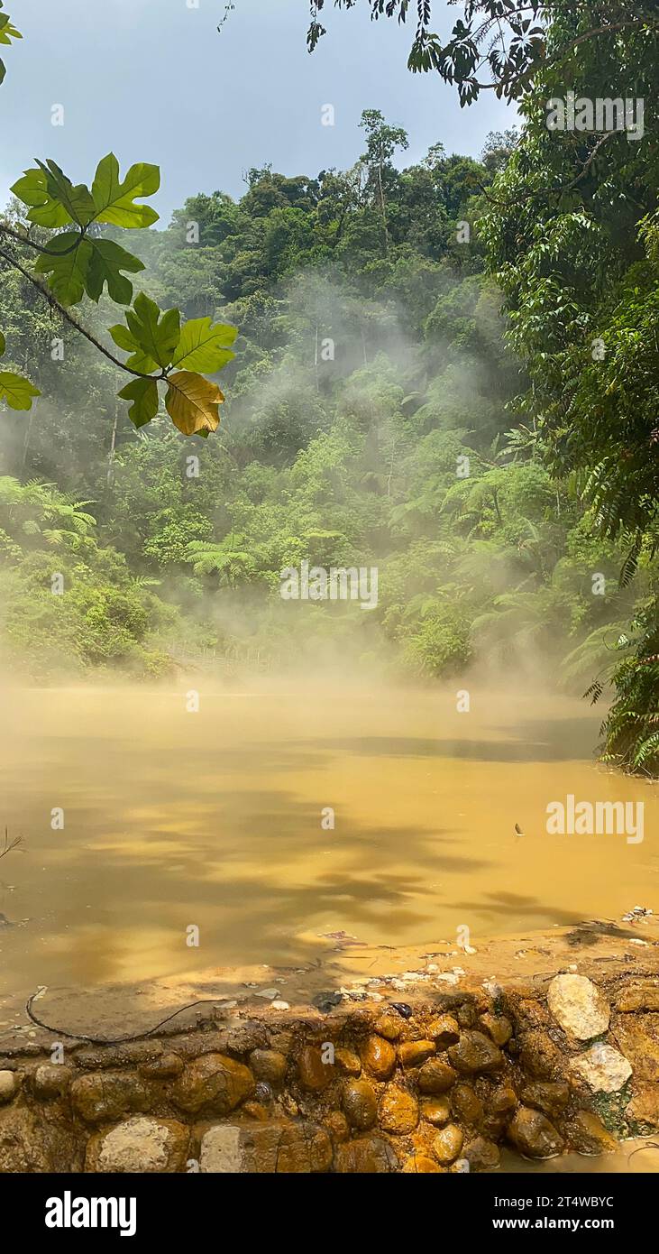 Boiling mud lake surrounded by tropical forest. Mud lake Agco ...