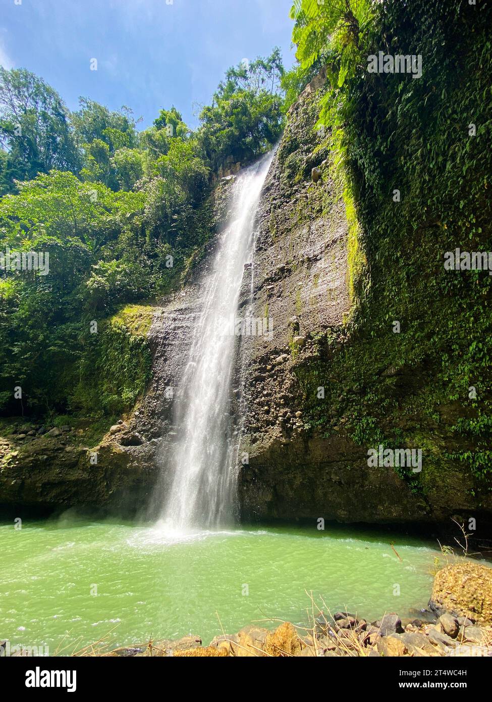 Water stream over green plunge basin. Alalum Falls. Bukidnon ...