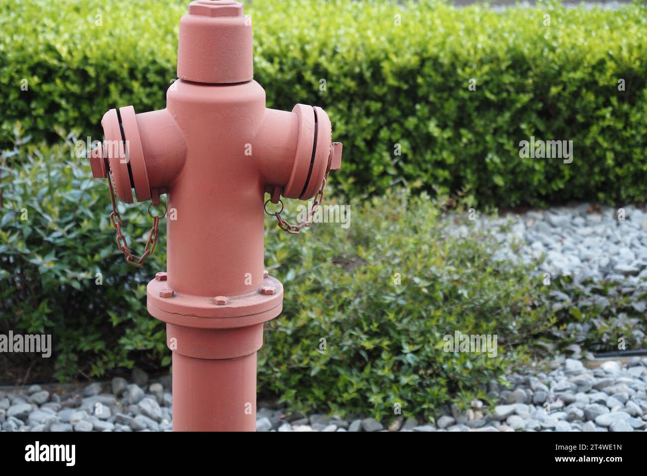 red fire hydrant in the garden Stock Photo - Alamy
