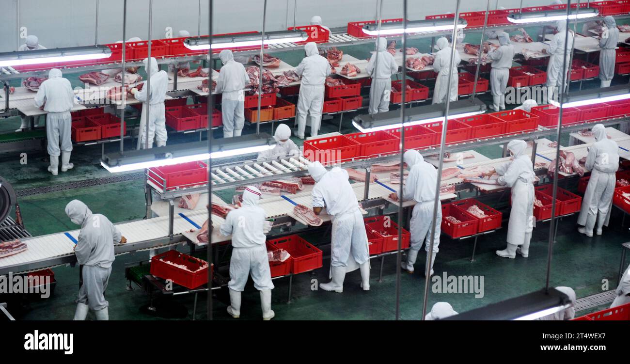 Group of workers working in a line in pork industry plant Stock Photo ...