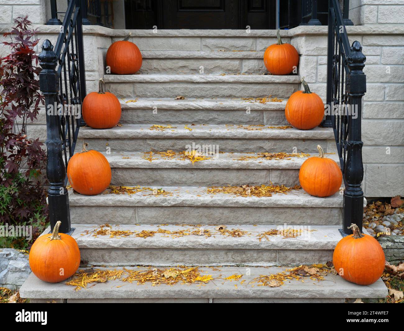 Front steps of house with pumpkins for fall decorations Stock Photo - Alamy