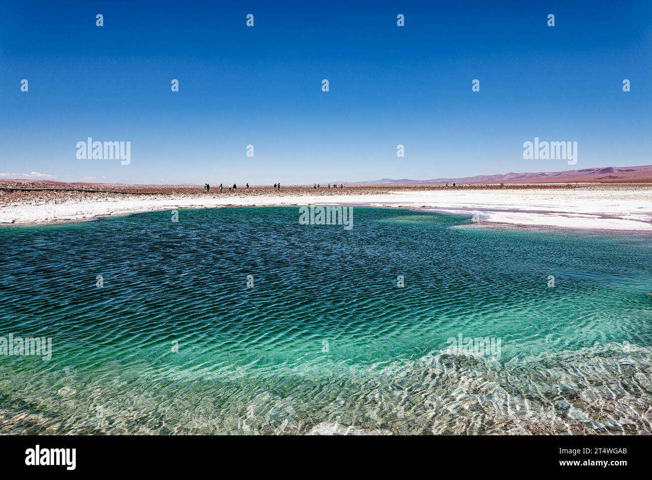 Landscape of the Hidden Baltinache Lagoons - Atacama Desert - Chile ...