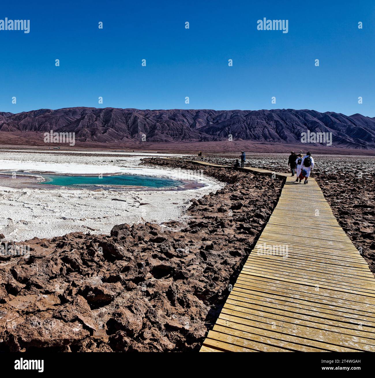Landscape of the Hidden Baltinache Lagoons - Atacama Desert - Chile ...