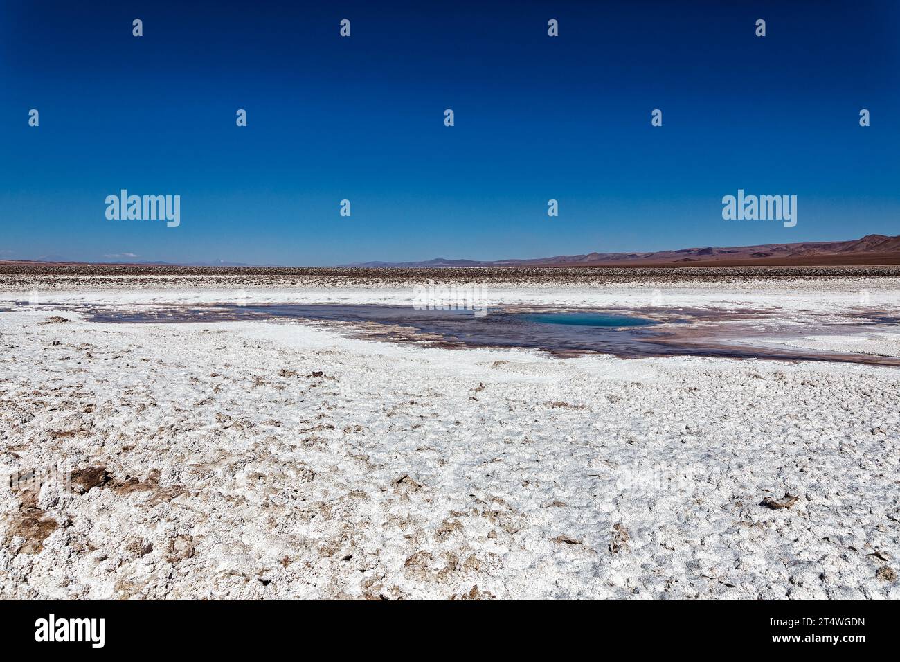 Landscape of the Hidden Baltinache Lagoons - Atacama Desert - Chile ...