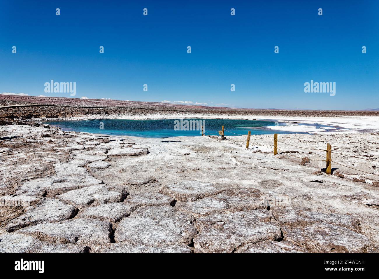 Landscape of the Hidden Baltinache Lagoons - Atacama Desert - Chile ...