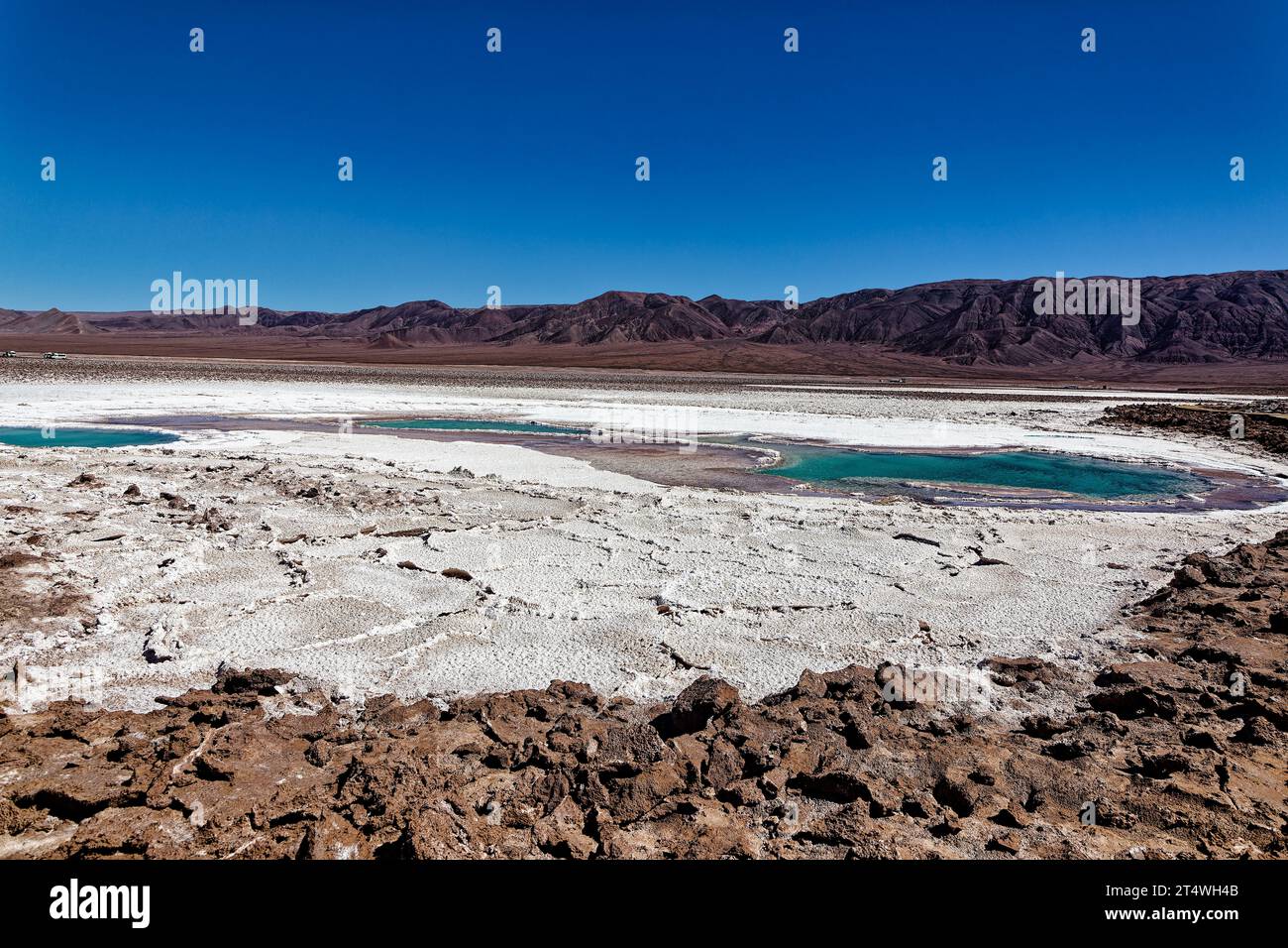 Landscape of the Hidden Baltinache Lagoons - Atacama Desert - Chile ...