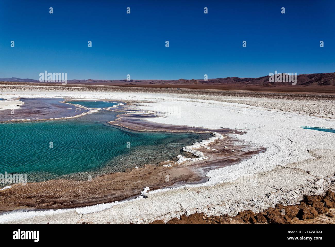 Landscape of the Hidden Baltinache Lagoons - Atacama Desert - Chile ...