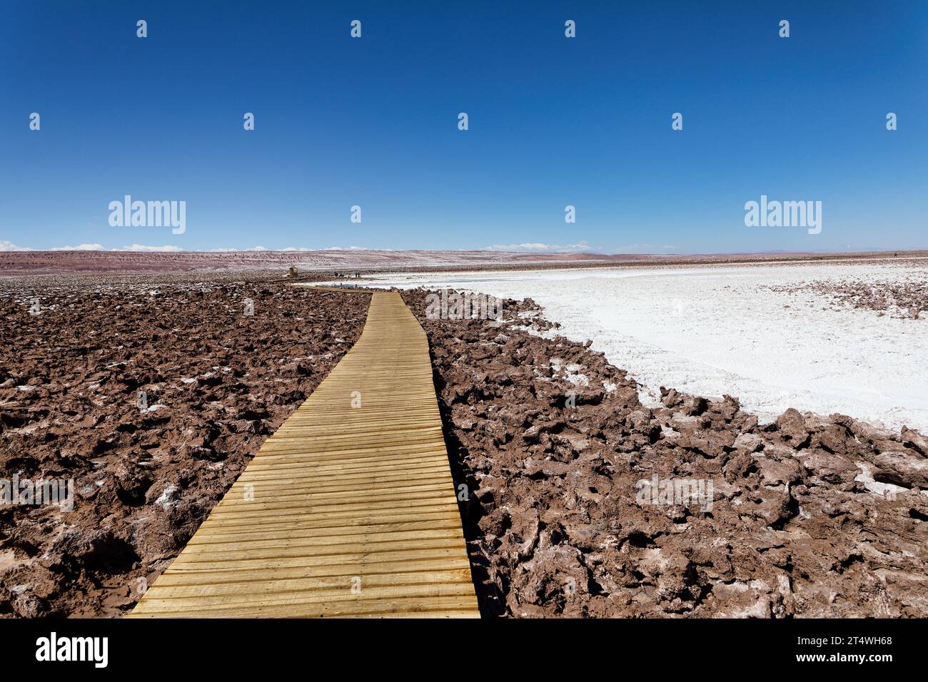 Landscape of the Hidden Baltinache Lagoons - Atacama Desert - Chile ...