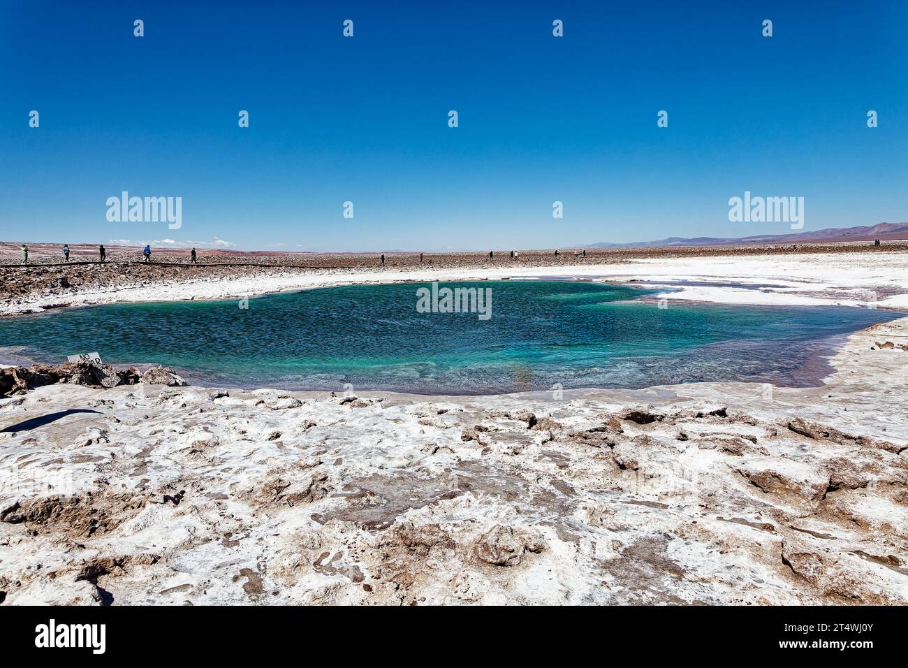 Landscape of the Hidden Baltinache Lagoons - Atacama Desert - Chile ...