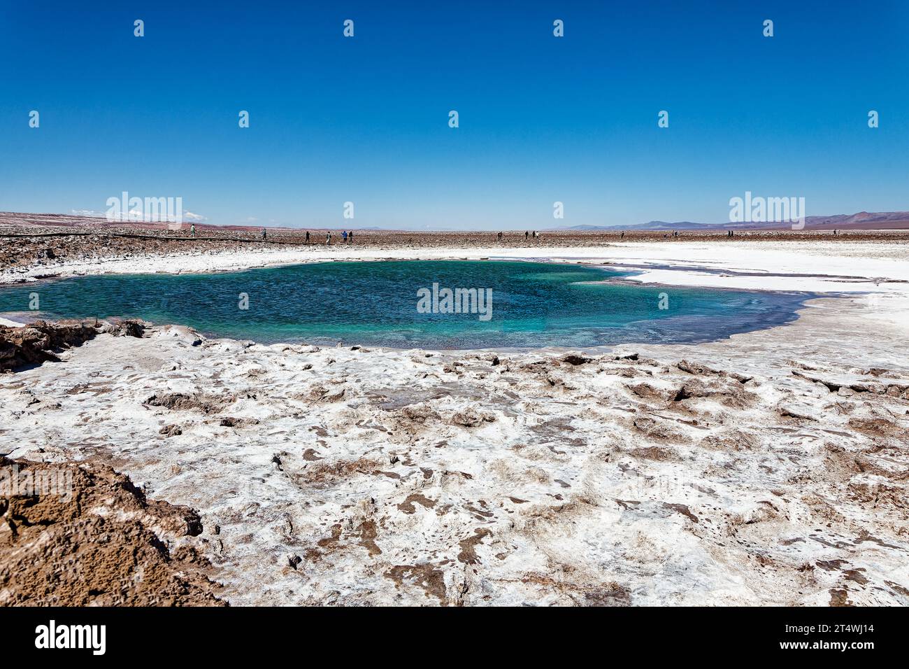 Landscape of the Hidden Baltinache Lagoons - Atacama Desert - Chile ...