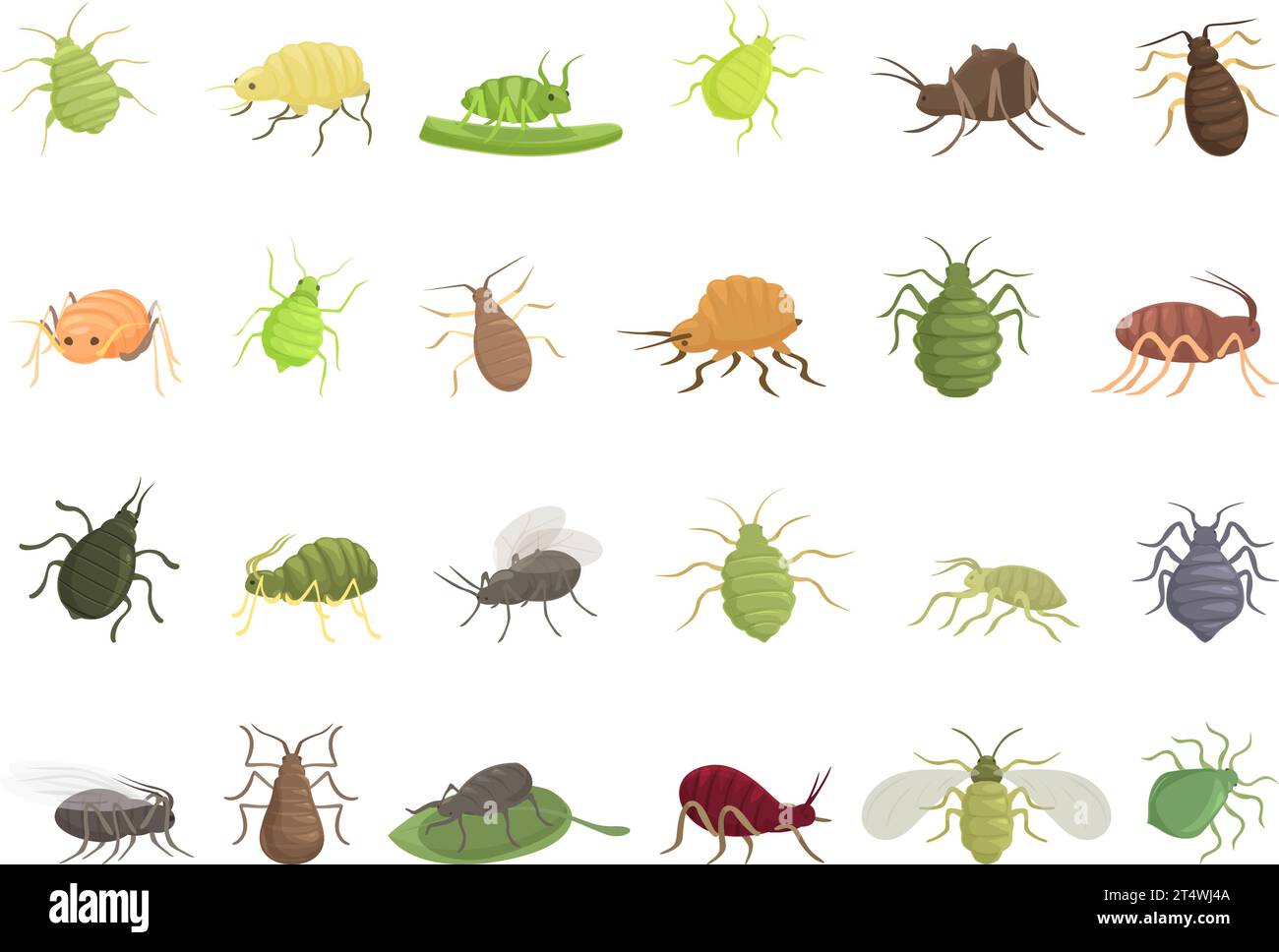 Aphid icons set cartoon vector. Insect summer nature. Root garden plant ...