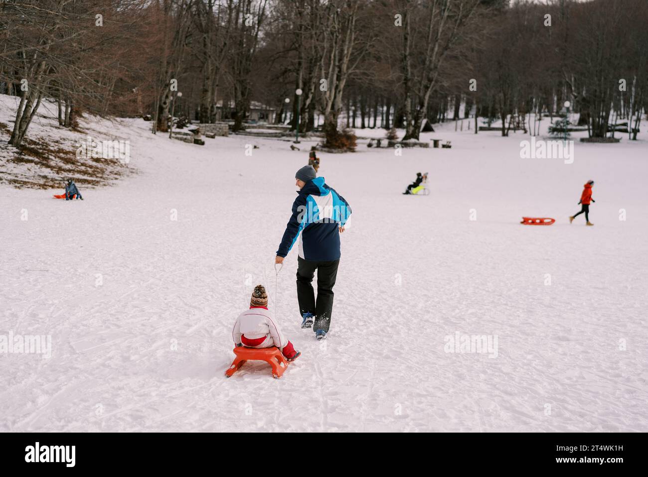 Dad is pulling a sled with a small child by a rope along a snowy plain ...