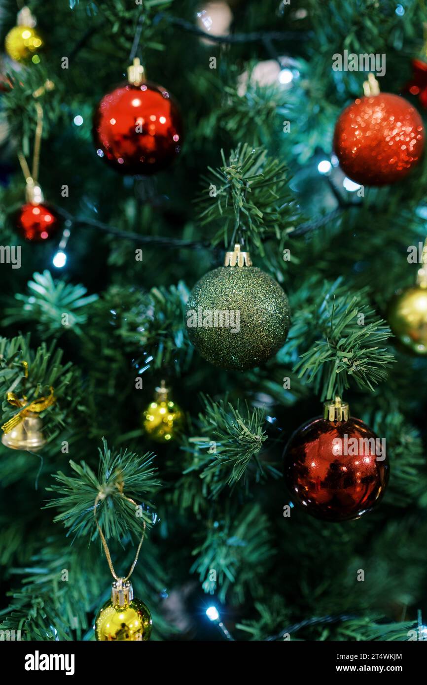 Bright sparkling green and red balls hang on the branches of the ...