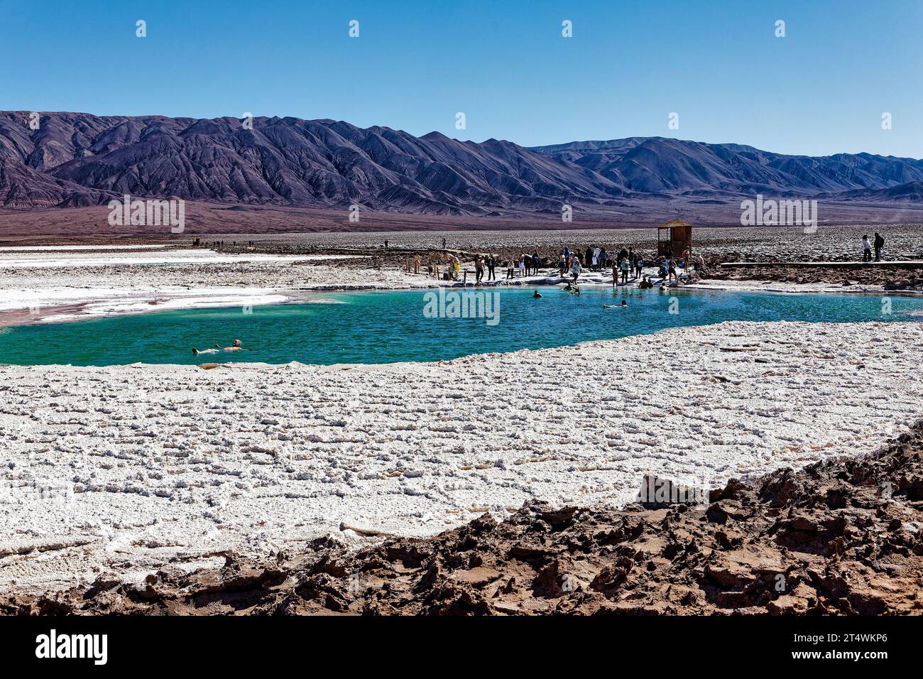 Landscape of the Hidden Baltinache Lagoons - Atacama Desert - Chile ...