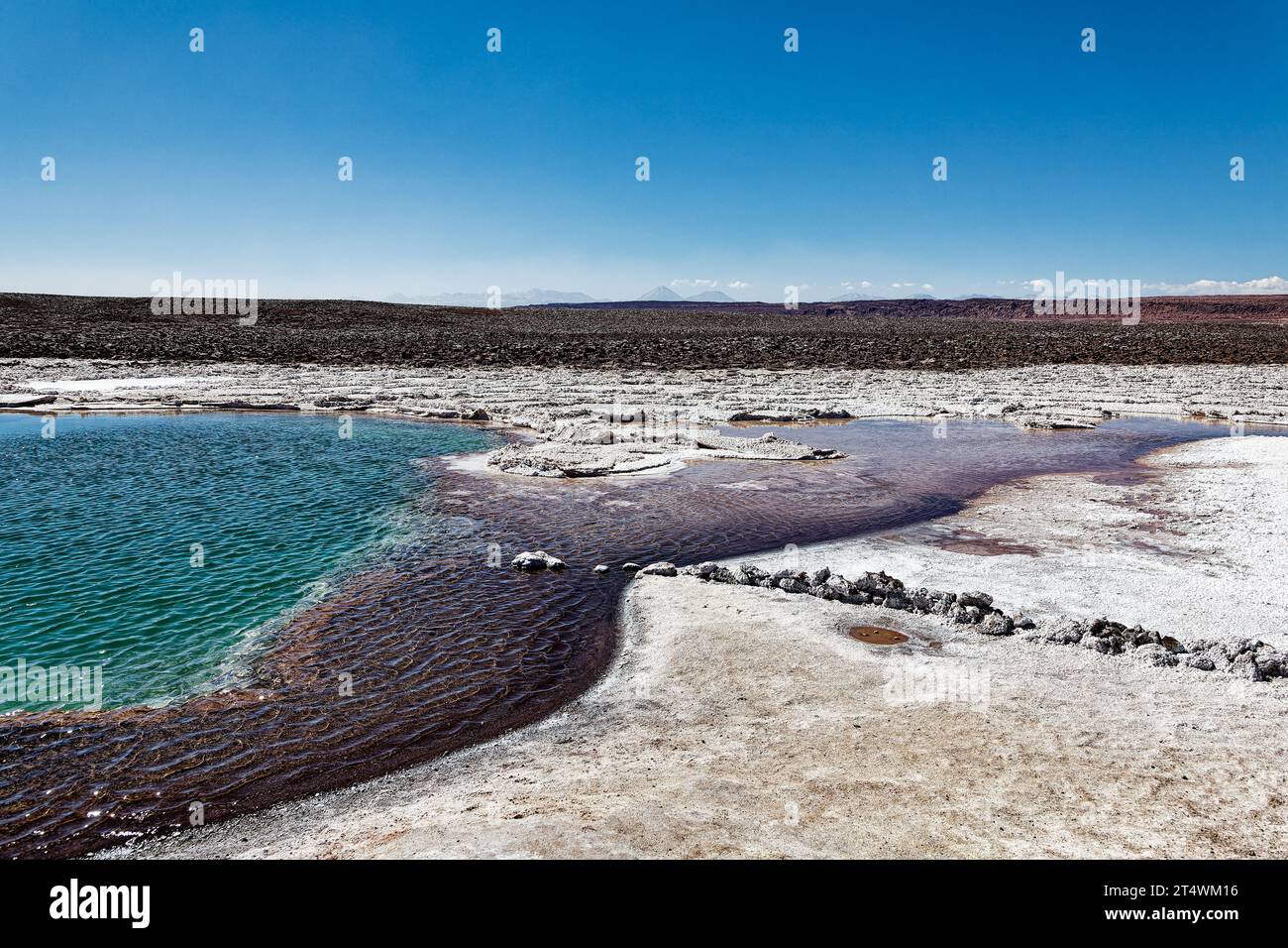 Landscape of the Hidden Baltinache Lagoons - Atacama Desert - Chile ...