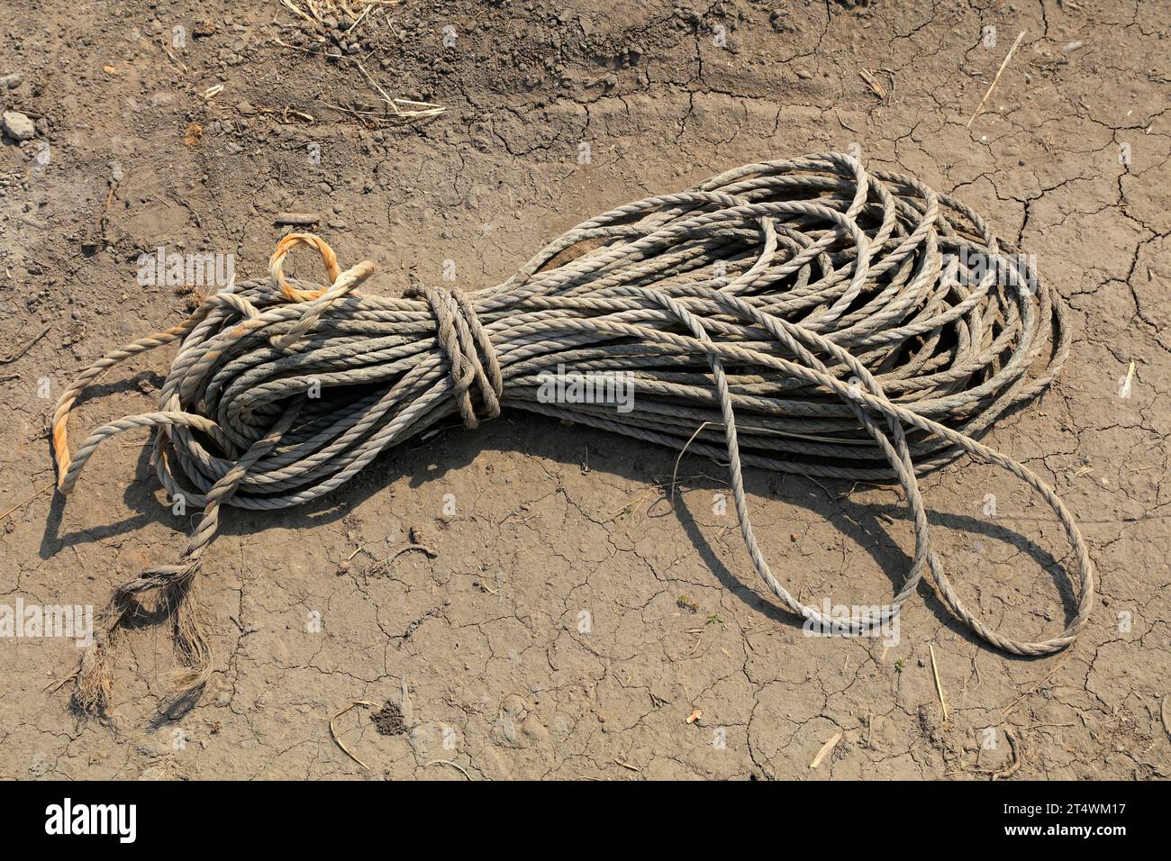 Nylon ropes on the ground Stock Photo - Alamy