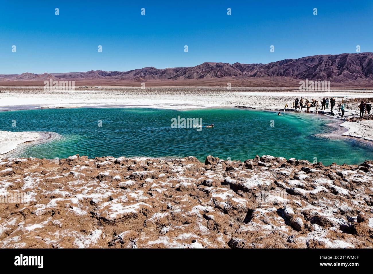 Landscape of the Hidden Baltinache Lagoons - Atacama Desert - Chile ...