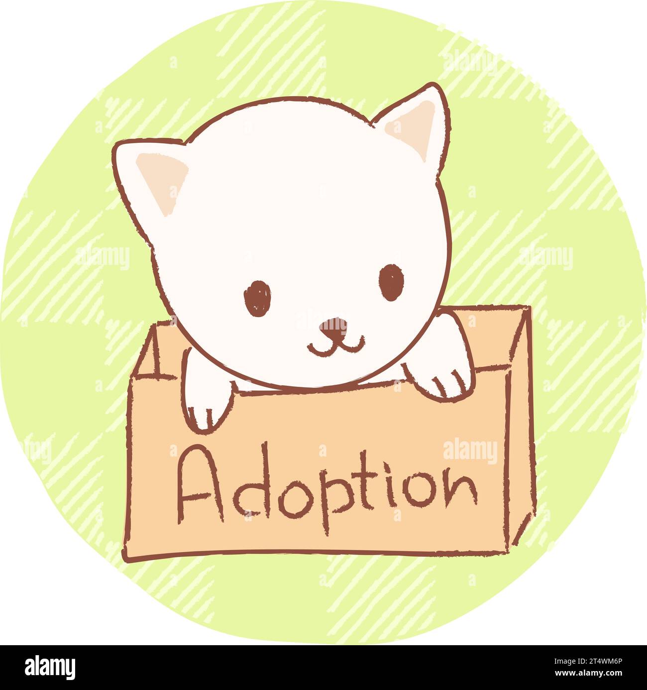 Kawaii cat in the box. Pet adoption concept. Stock vector illustration ...