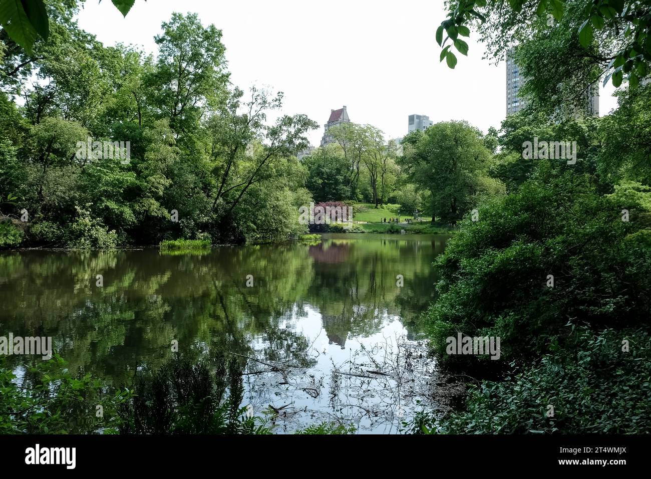 View of the Pond, one of seven bodies of water in Central Park located ...