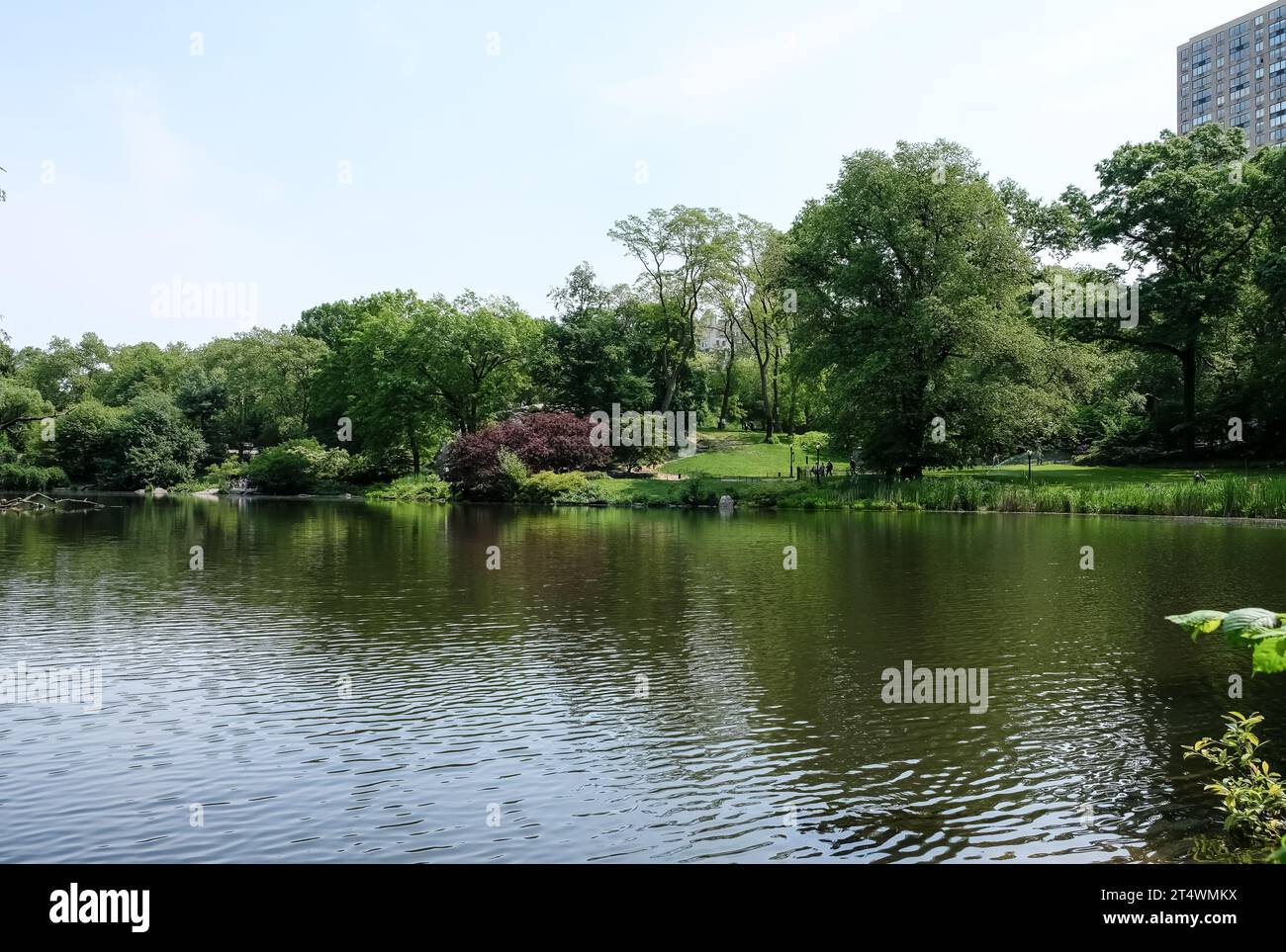 View of the Pond, one of seven bodies of water in Central Park located ...