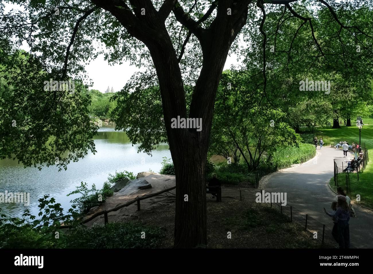 View of the Pond, one of seven bodies of water in Central Park located ...
