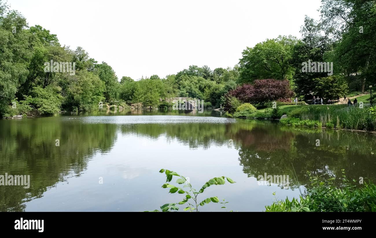 View of the Pond, one of seven bodies of water in Central Park located ...