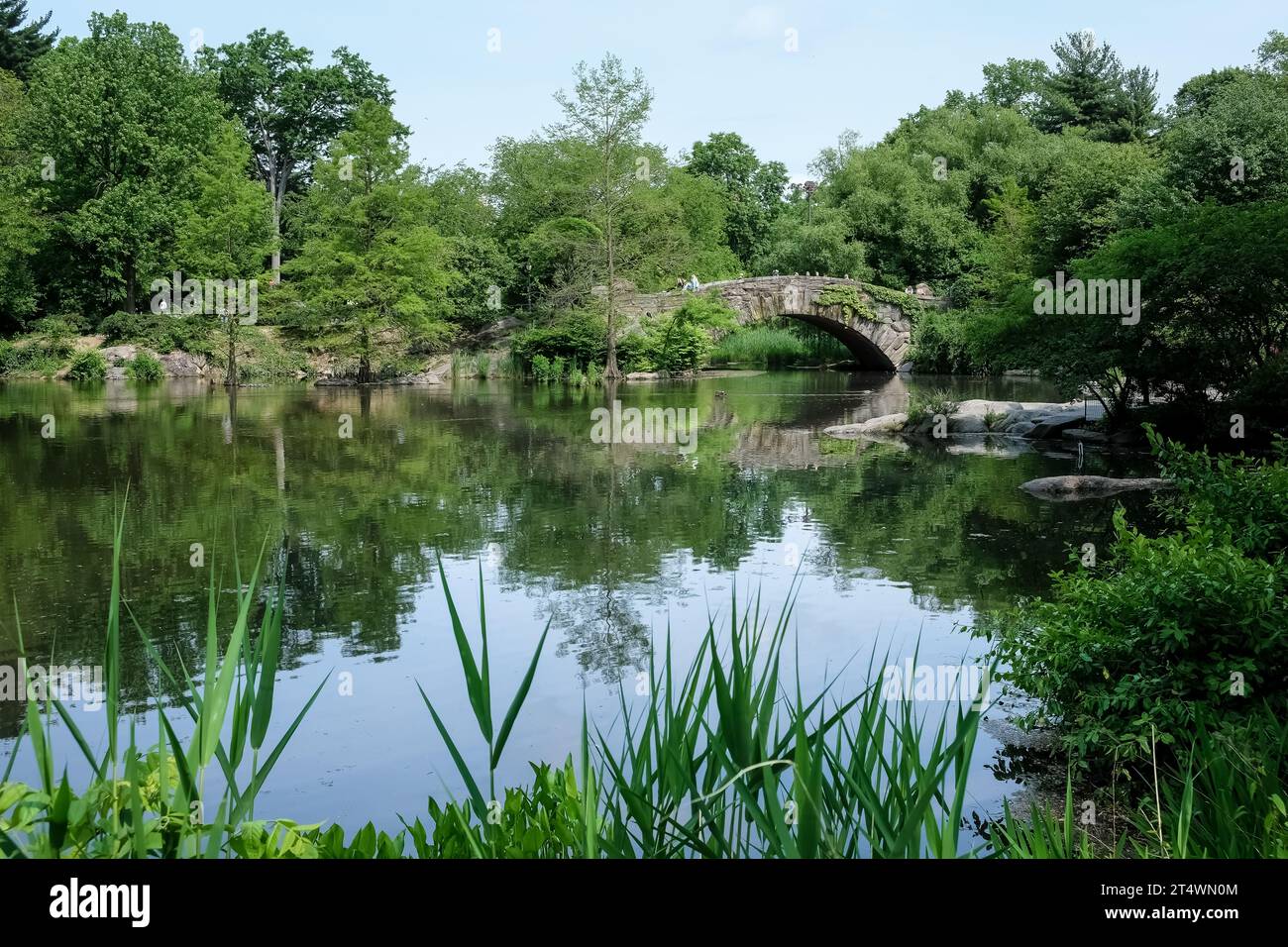 View of the Pond, one of seven bodies of water in Central Park located ...