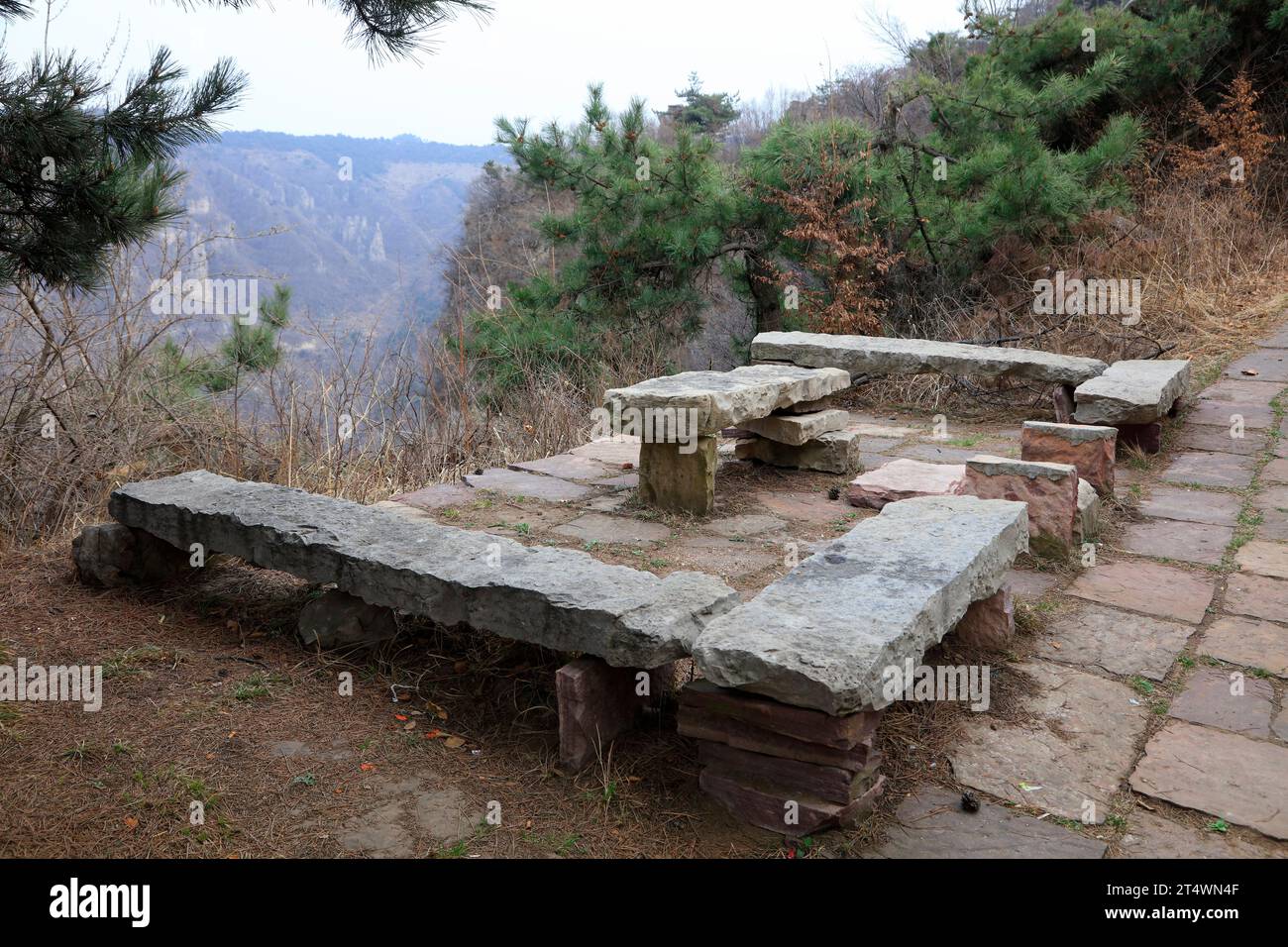 Stone table stool in a park Stock Photo - Alamy