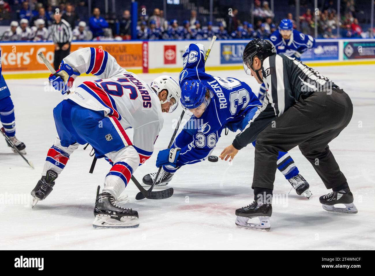 Rochester, New York, USA. 1st Nov, 2023. Syracuse Crunch forward Felix Robert (36) takes a face ...