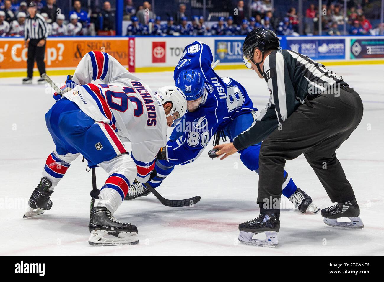 Rochester, New York, USA. 1st Nov, 2023. Syracuse Crunch forward Ilya ...
