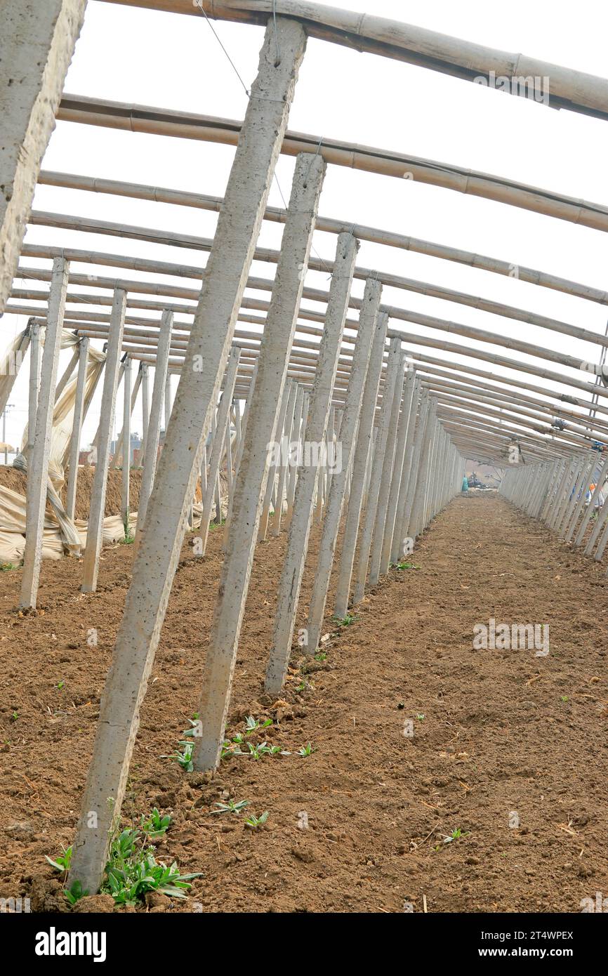 Cement piles arranged together Stock Photo - Alamy