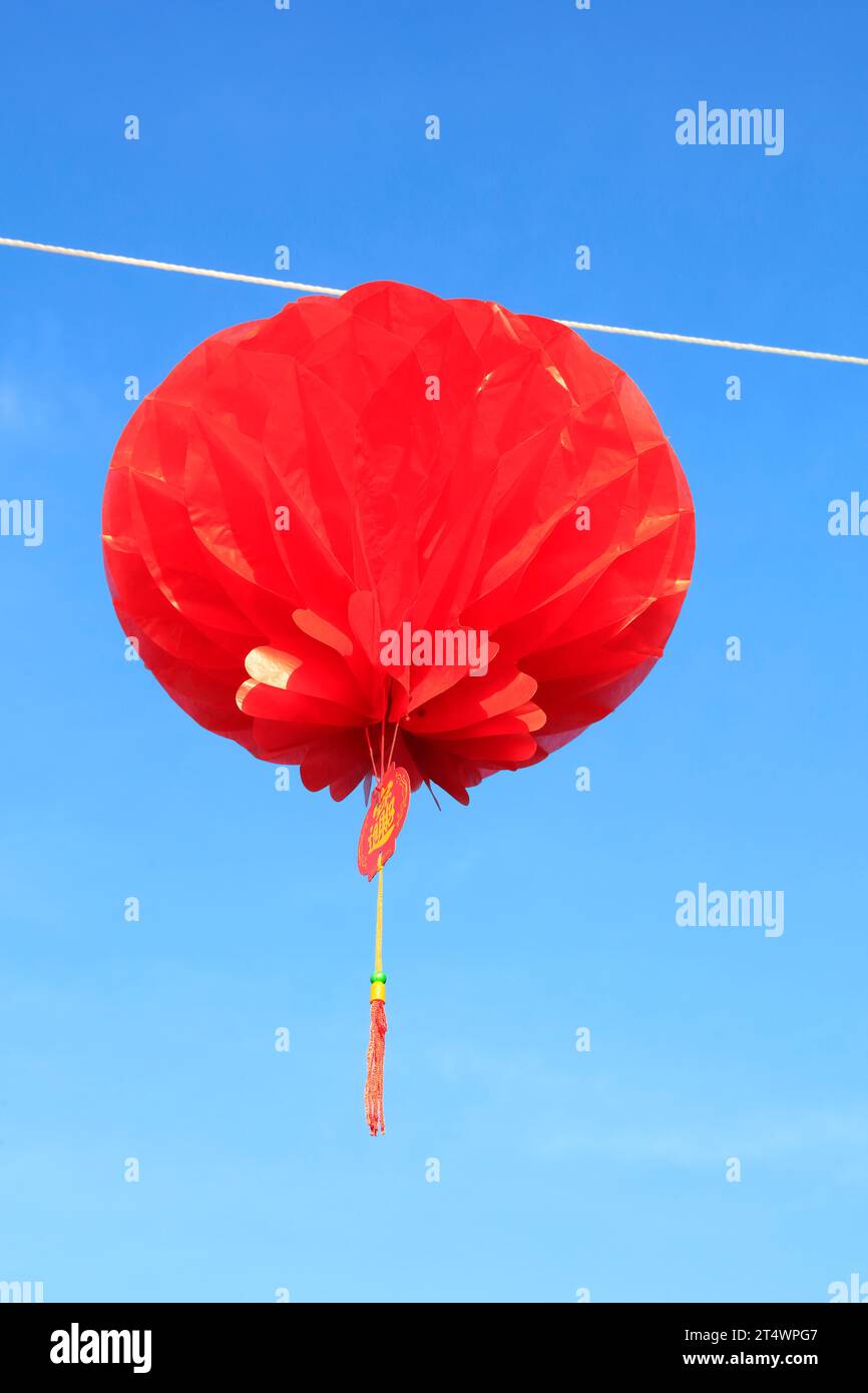 Lantern shaped flowers Stock Photo - Alamy