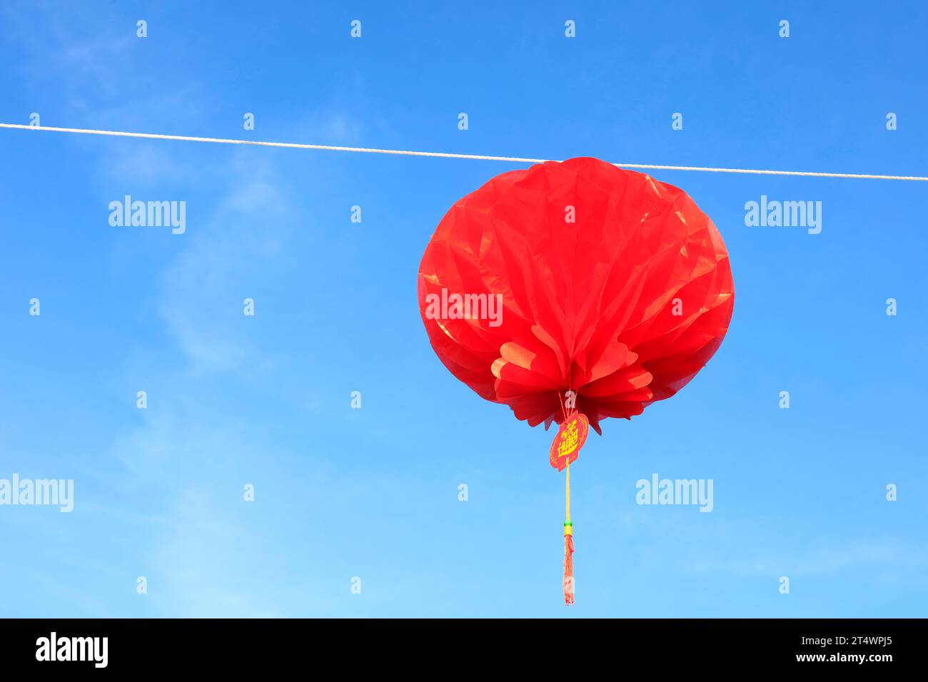 Lantern shaped flowers hi-res stock photography and images - Alamy