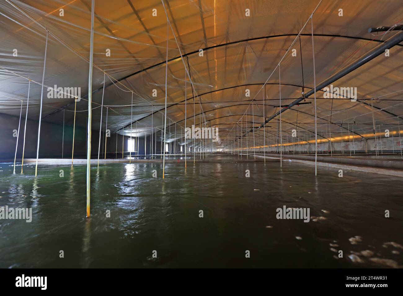 Mariculture pond hi-res stock photography and images - Alamy