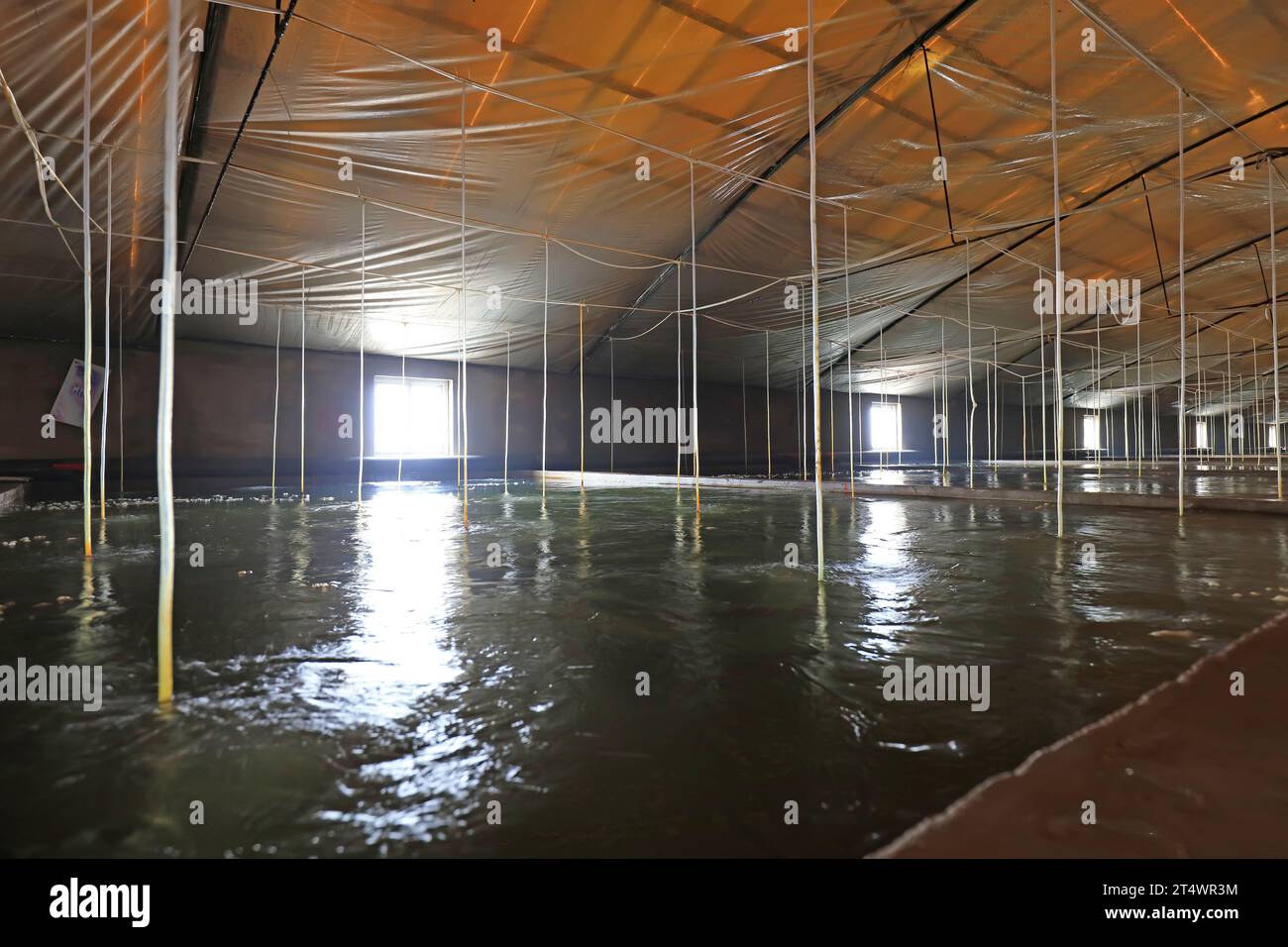 Mariculture pond hi-res stock photography and images - Alamy Mariculture pond hi-res stock photography and images - Alamy