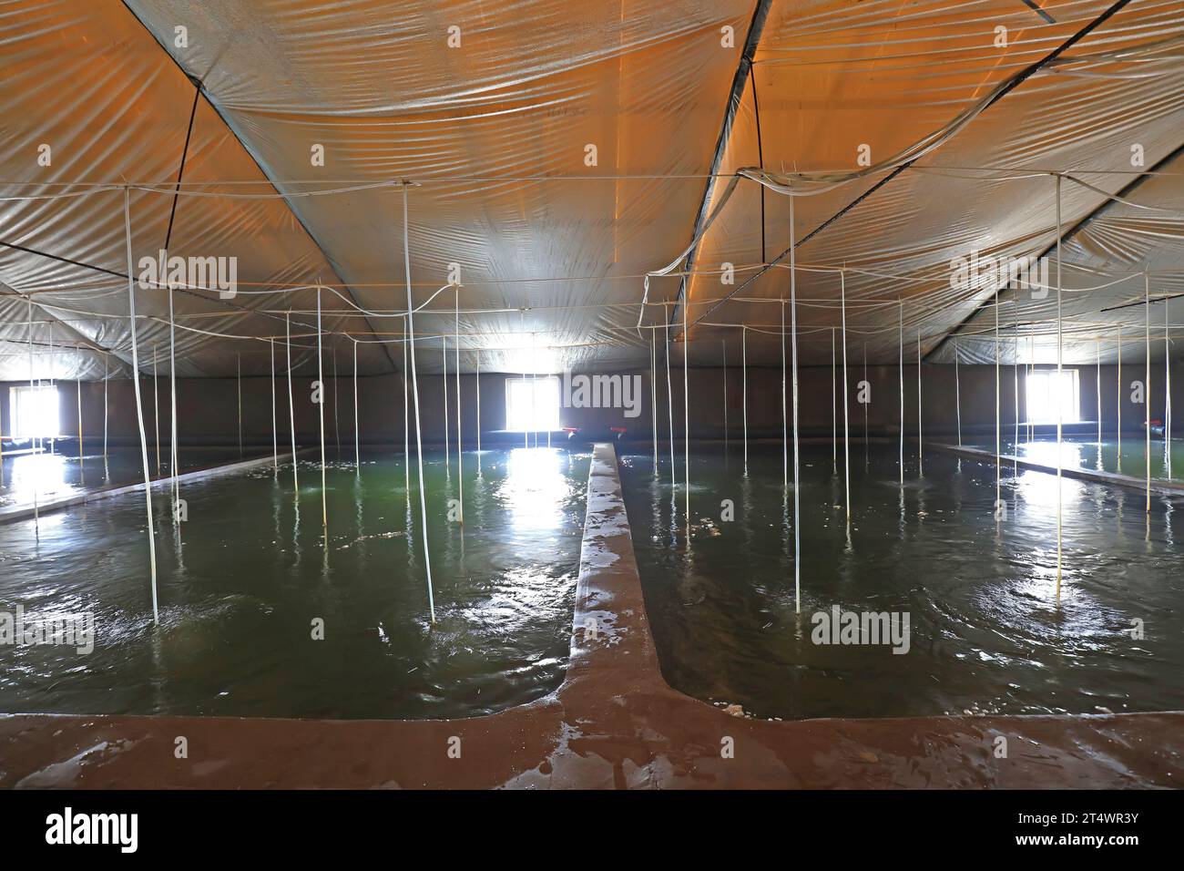 Mariculture pond hi-res stock photography and images - Alamy