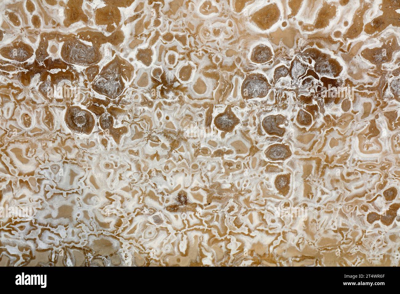 Alkaline stains on cement walls Stock Photo - Alamy