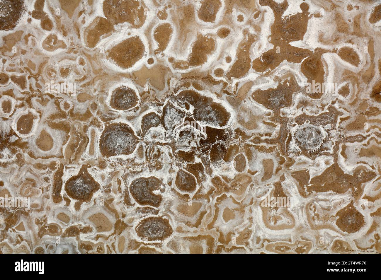 Alkaline stains on cement walls Stock Photo - Alamy