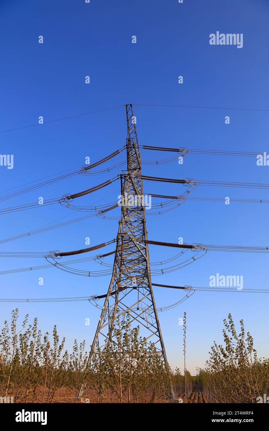 high voltage electric power steel tower, closeup of photo Stock Photo ...