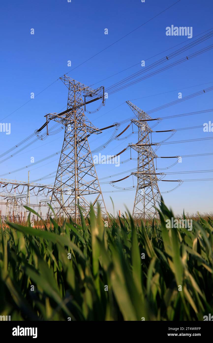high voltage electric power steel tower, closeup of photo Stock Photo ...