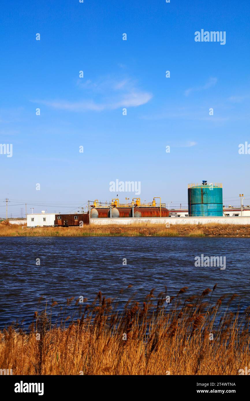 Reed tanks hi-res stock photography and images - Alamy