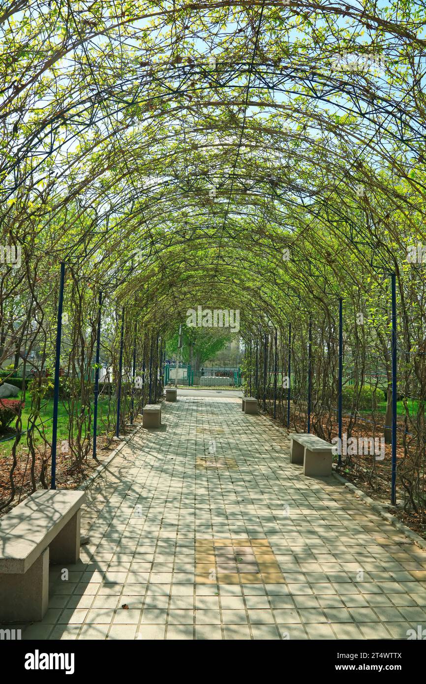 Long corridors hi-res stock photography and images - Alamy