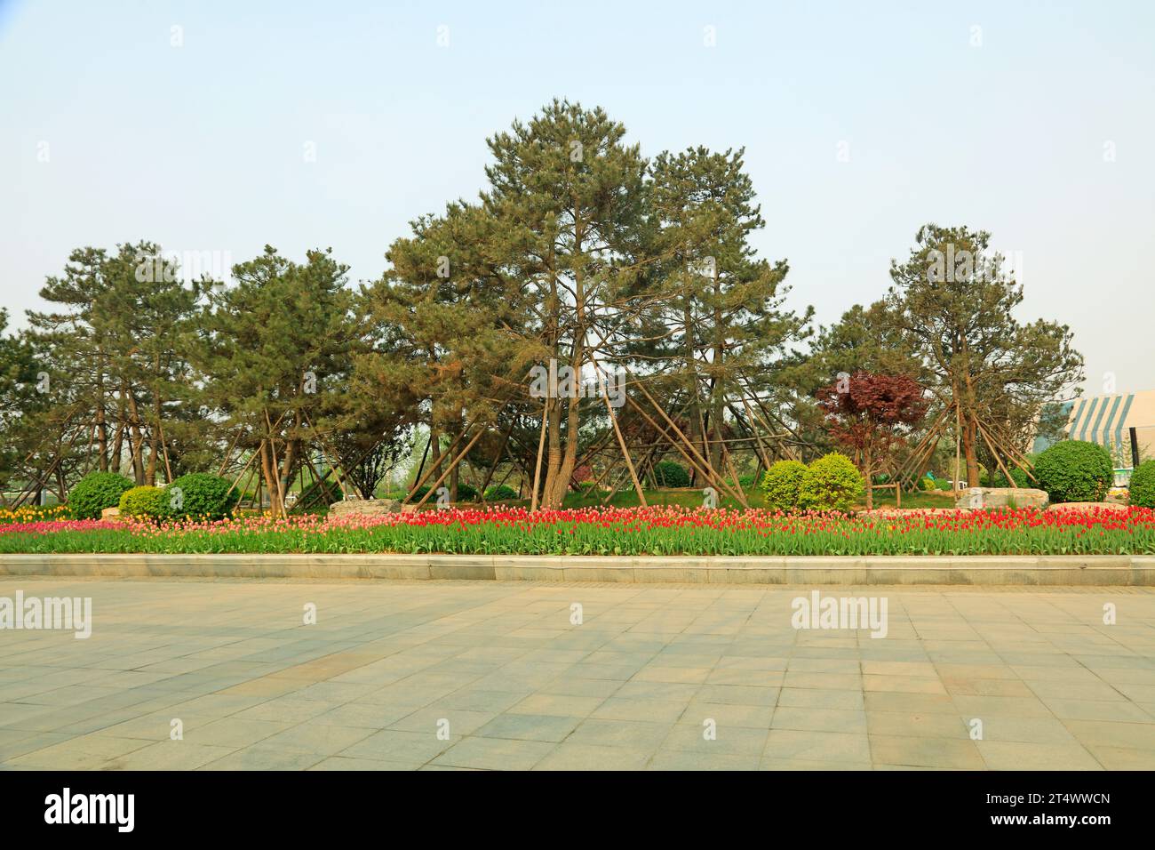Plants around the square Stock Photo - Alamy
