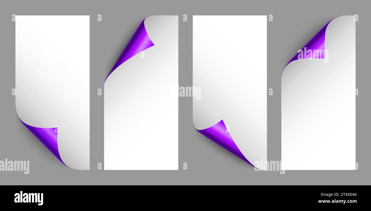 Set of violet paper curls. Curled page corner with shadow. Blank sheet ...