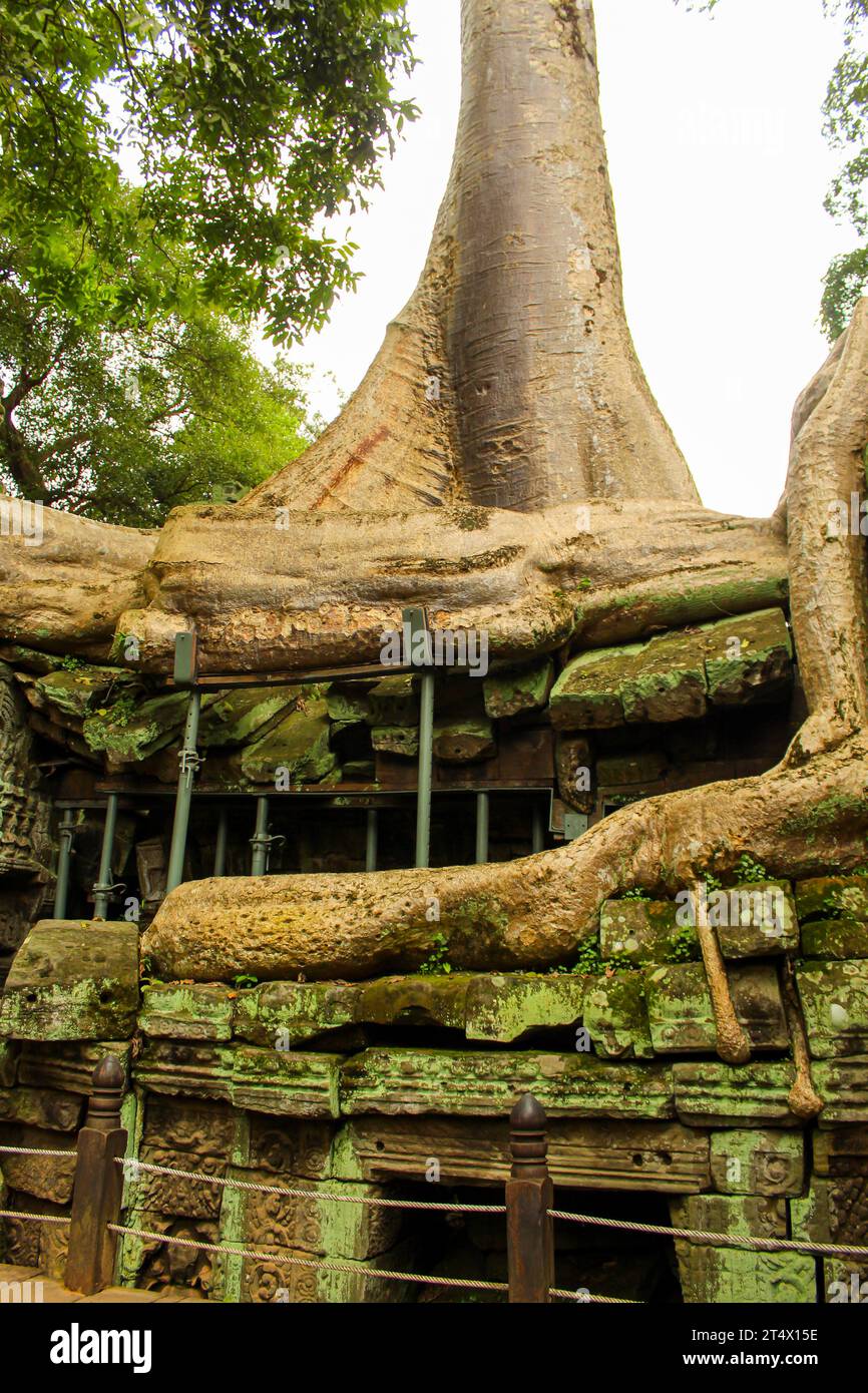 Tom rider hi-res stock photography and images - Alamy