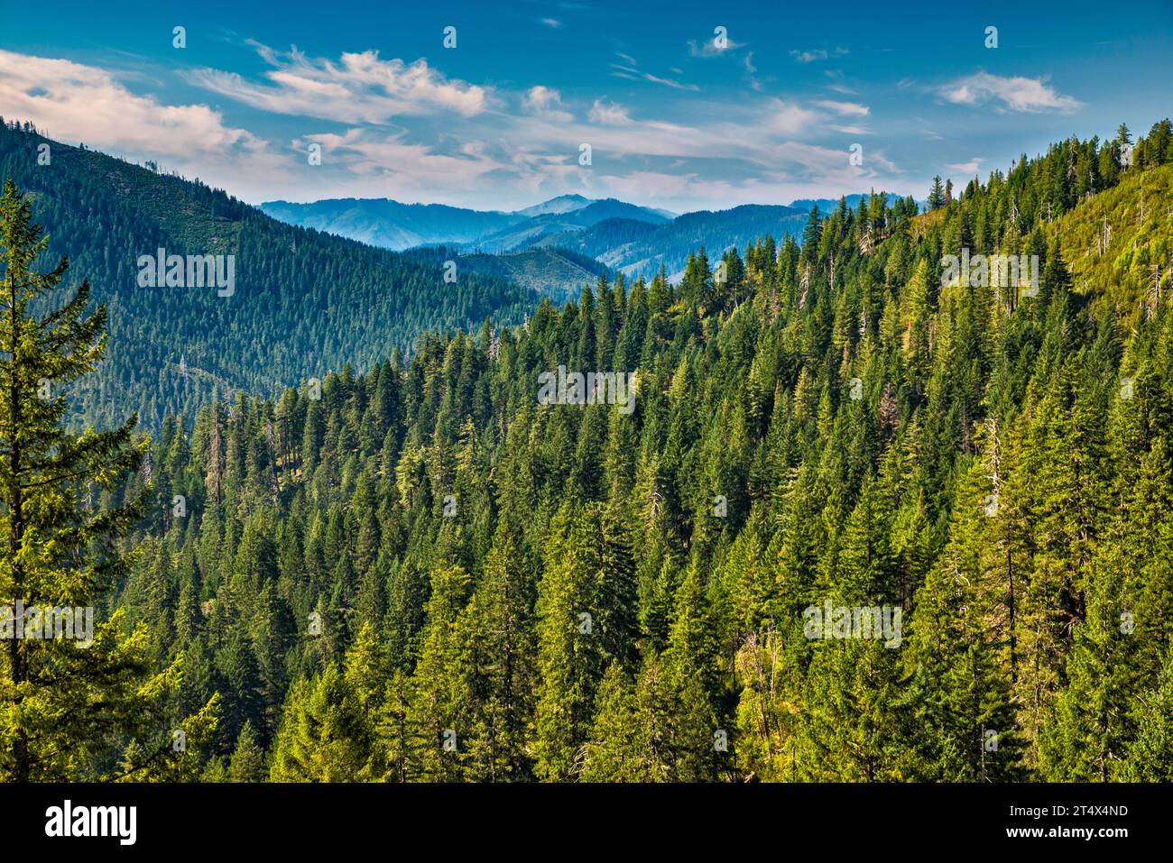 Klamath Mountains, distant view from Bear Camp Road, Forest Service Rd ...