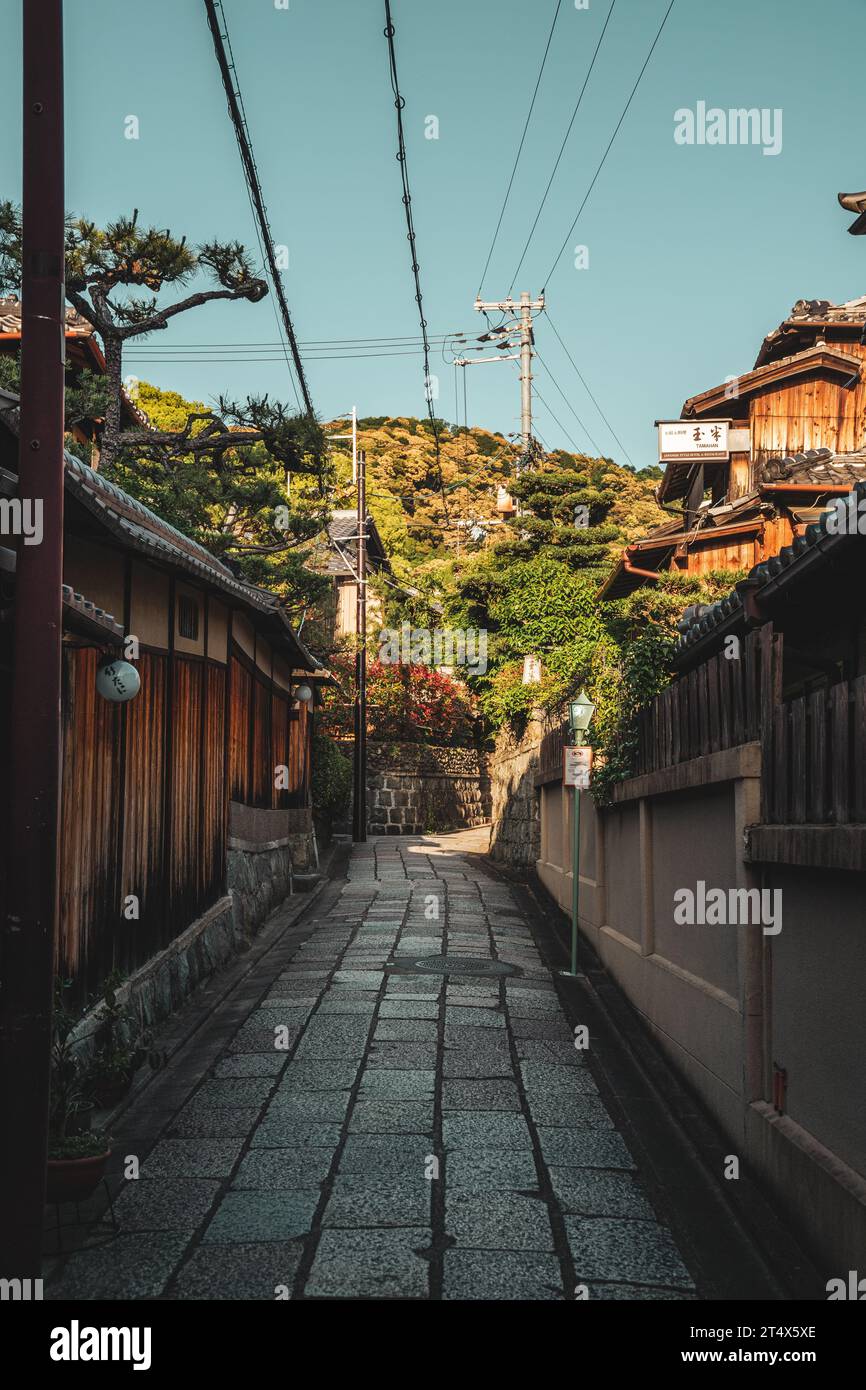 A scenic cobblestone pathway wind through a quaint, narrow street lined ...