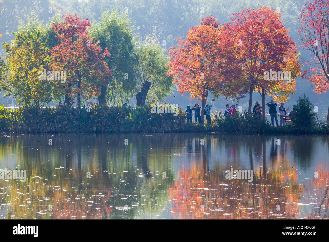 NANJING, CHINA - NOVEMBER 2, 2023 - Photo taken on Nov 2, 2023 shows ...